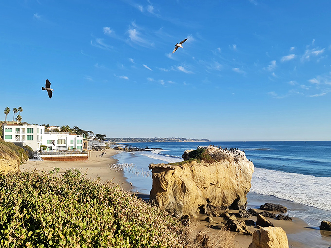 Nature's own sculpture garden where seagulls soar above golden cliffs and the Pacific puts on its daily show.