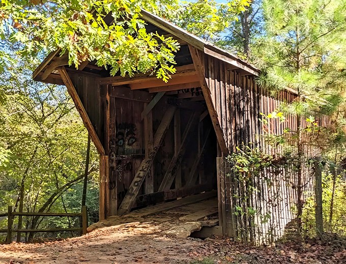 The Historic Bunker Hill Covered Bridge stands like a wooden time machine among the trees. Nature's perfect frame for this architectural treasure.