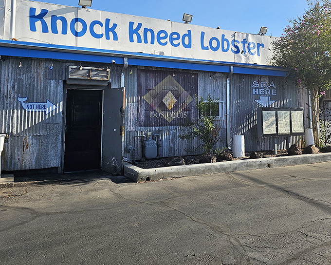 Don't judge this seafood shack by its corrugated cover! Knock Kneed Lobster's unassuming exterior hides treasures that would make Neptune jealous.