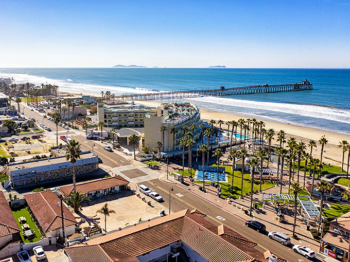 Los Osos: Palms line the beachfront where Morro Rock stands sentinel in the distance, a postcard-perfect California dream come to life.