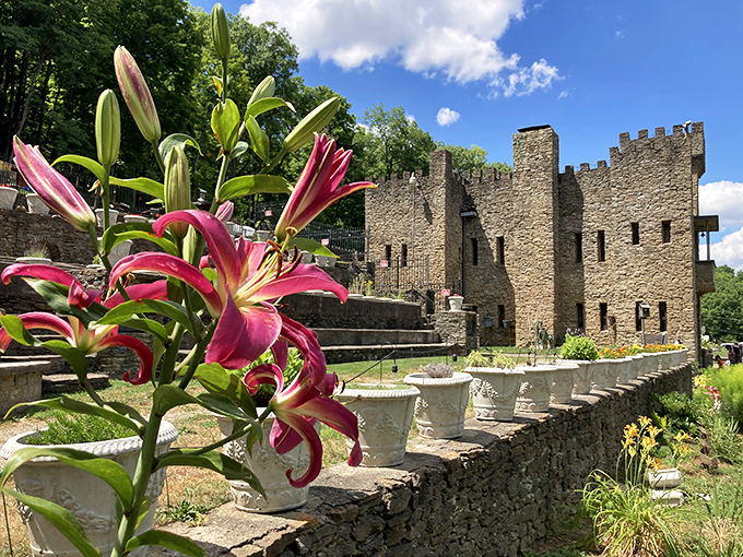 Pink lilies stand guard at this stone fortress. Medieval dreams come true along the Little Miami River.