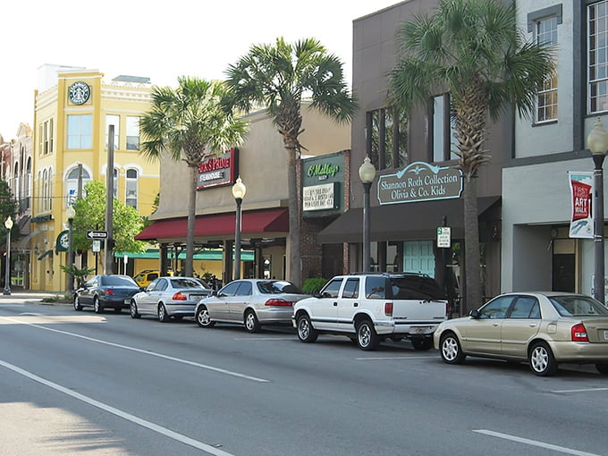Downtown Ocala's charming storefronts and palm trees create that perfect small-town Florida vibe without the tourist-trap prices.