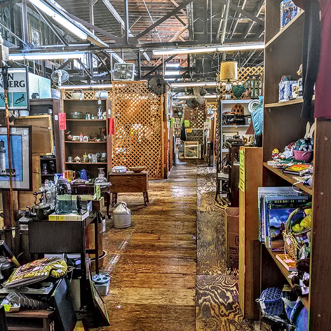 Wooden floors and endless aisles create the perfect treasure hunting playground for antique enthusiasts.