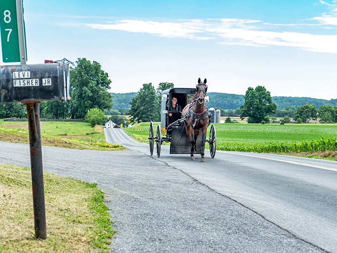 Life in the slow lane! An Amish buggy travels down Levi Fyster Drive, where time seems to move at horse-speed.