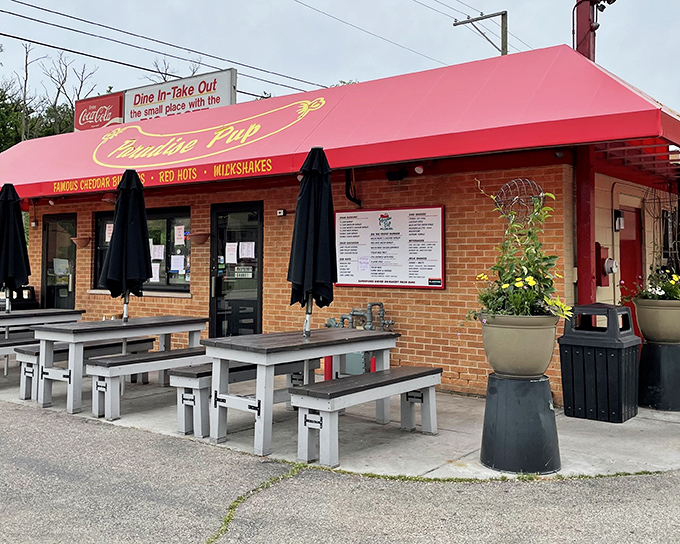 The red awning beckons like a burger bat signal. This tiny spot proves greatness doesn't require square footage.