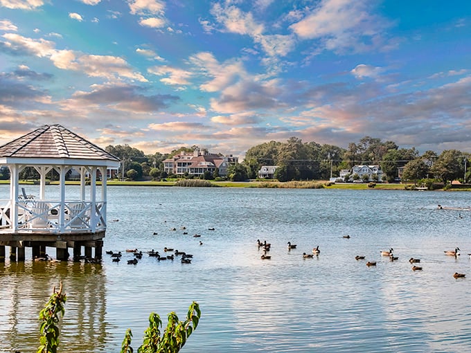 A white gazebo stands sentinel over Silver Lake, where ducks gather like old friends catching up on gossip.