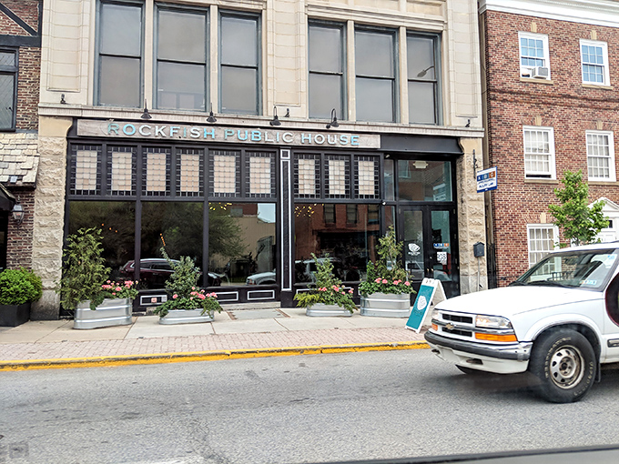 This unassuming brick beauty in York hides seafood treasures that would make Captain Ahab jealous.