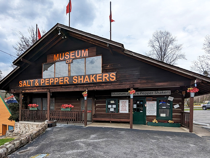 The Museum of Salt & Pepper Shakers looks like a cozy mountain cabin that somehow swallowed 20,000 pairs of seasoning dispensers. Flavor heaven awaits!