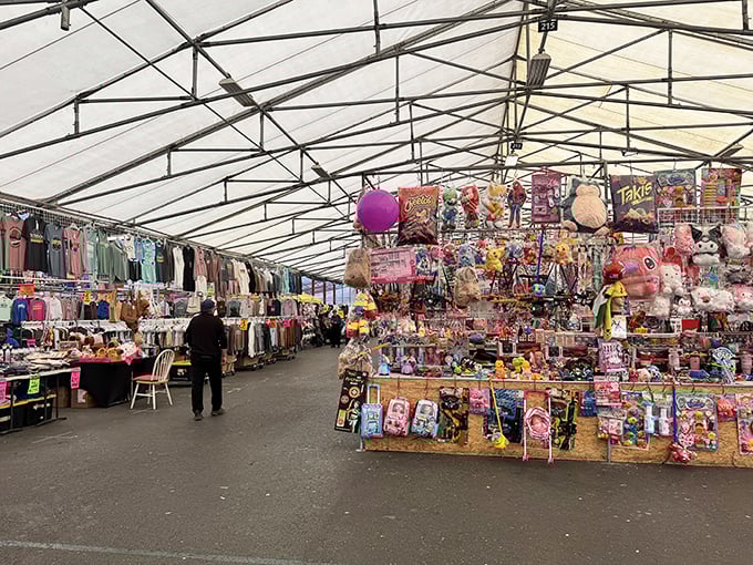 Treasure hunting under one roof! This San Jose Flea Market tent houses everything from kids' toys to kitchen gadgets, like a department store from another dimension.