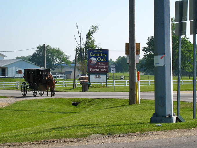A horse and buggy trotting past Country Oak Furniture&mdash;where Amish craftsmanship meets modern admirers on Shipshewana's charming roads.
