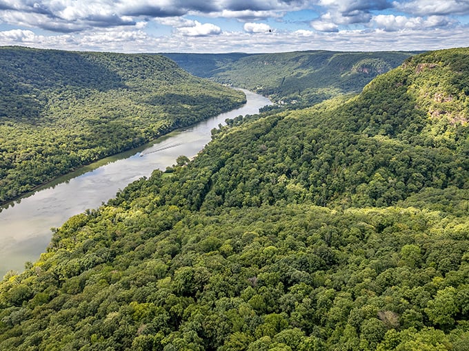 The Tennessee River carves its way through lush mountains at Signal Mountain, nature's masterpiece on full display.