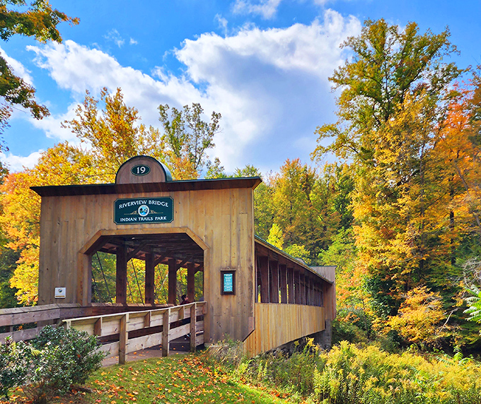 Riverview Bridge glows like honey against autumn's fiery palette. Nature's perfect frame for a lazy Sunday drive!