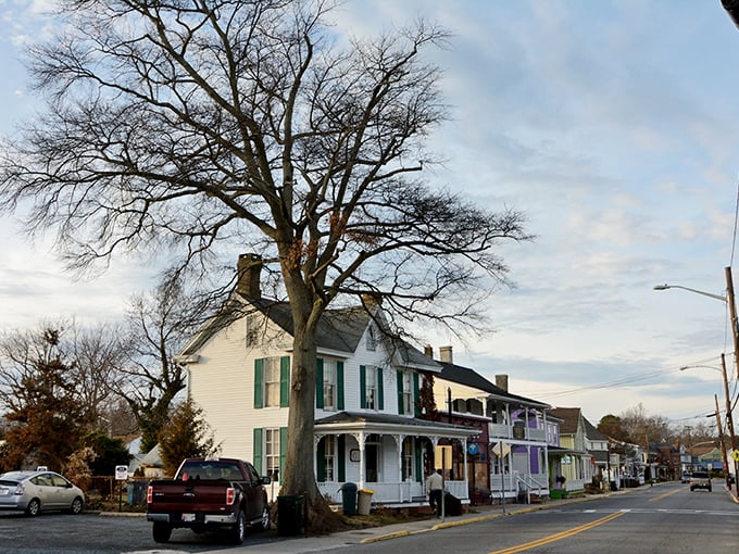 Historic homes line the street like a parade of architectural time travelers, each with its own story to tell.