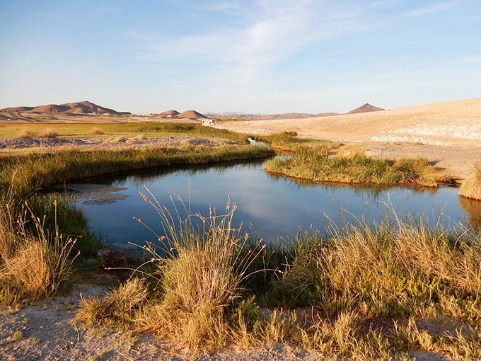 Desert magic happens when mineral-rich waters meet endless sky at this hidden Tecopa oasis.