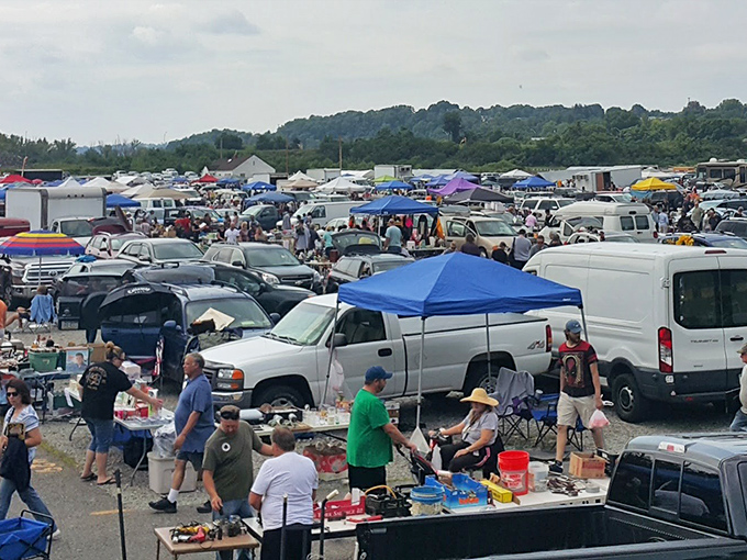 The treasure hunter's paradise! Hundreds of vendors spread across Trader Jack's parking lot, where one person's junk becomes another's jackpot.