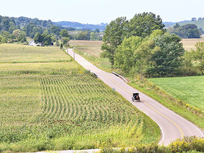 Rolling roads like this one lead to adventures where horse-drawn buggies set the perfect pace for discovery.