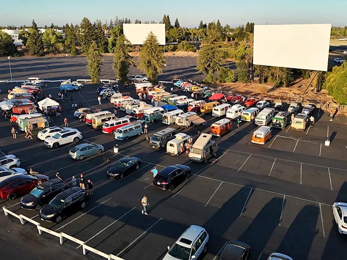 Vintage VW vans and modern SUVs unite at Sacramento's West Wind Drive-In, where nostalgia parks under the stars.