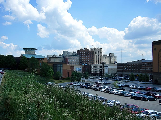 "Downtown Youngstown stretches toward the sky like an urban garden. History and renewal sharing the same spectacular view!"