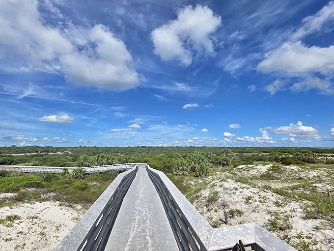 Nature's perfect skyway! The elevated walkway at Anastasia offers panoramic views that make smartphone cameras work overtime and Instagram followers jealous.