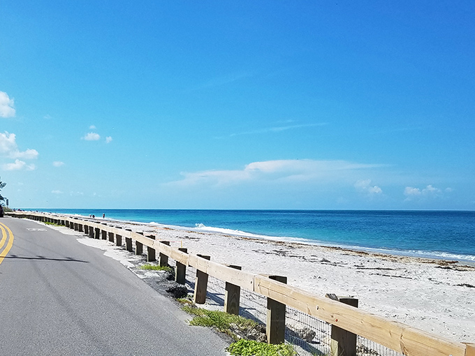 The road less traveled leads to paradise. Blind Pass Beach offers a front-row seat to the Gulf's ever-changing blue canvas.