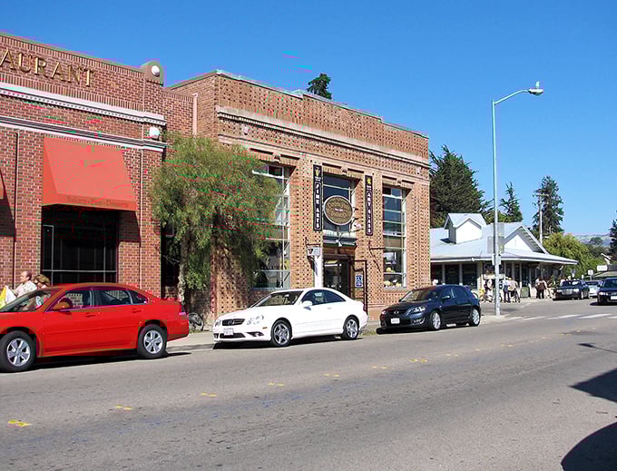 These historic brick storefronts in Cambria aren't just pretty faces&mdash;they're filled with treasures waiting to be discovered by curious visitors.