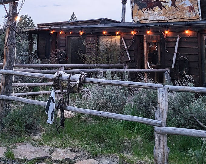Twilight transforms Cowboy Dinner Tree into a rustic dream. Those string lights aren't just decoration&mdash;they're a beacon for serious steak lovers.
