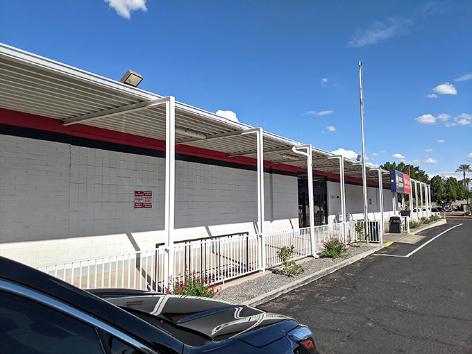 Palm trees and colorful flags welcome bargain hunters to this Mesa thrift paradise, where one person's castoffs become another's treasures.
