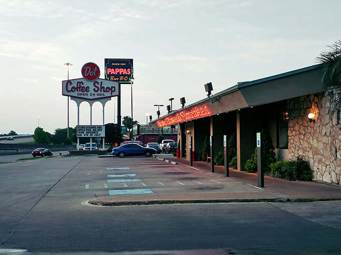 Dot's vintage roadside charm hasn't changed in decades. This 24-hour diner has witnessed countless late-night confessions and early morning recoveries.