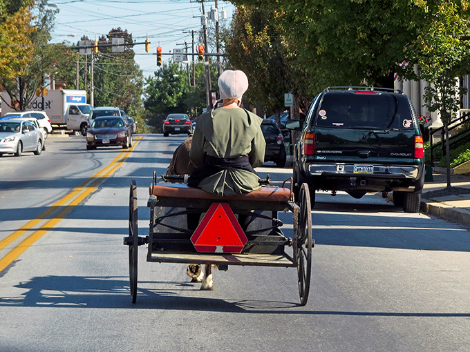 Where modern meets tradition! An Amish buggy navigates Ephrata's streets, carrying treasures from farm to table.