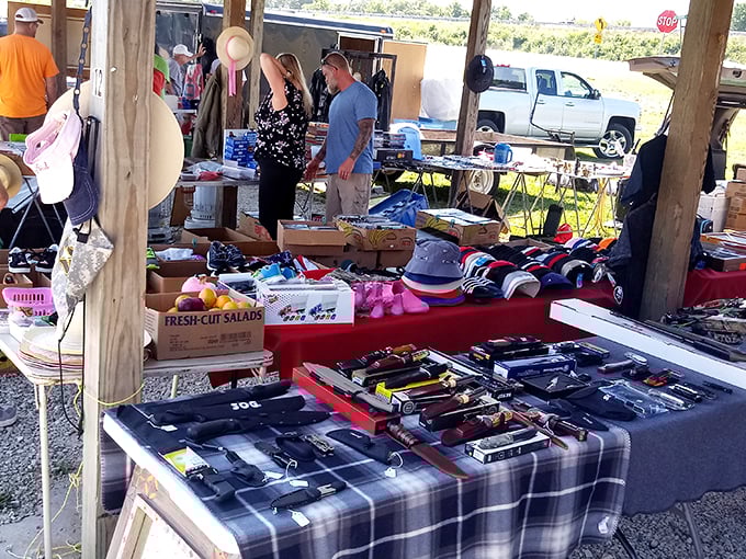 Bargain paradise in full swing. Where else can you find power tools, pet carriers, and children's tricycles all in one glorious spot?