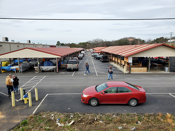Shopping heaven under red awnings. The outdoor section at Great Smokies offers endless rows of potential discoveries.