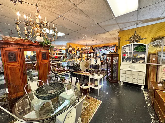 Elegant chaos at its finest. From chandelier-crowned ceilings to antique furniture, Ironside's displays are a feast for curious eyes.
