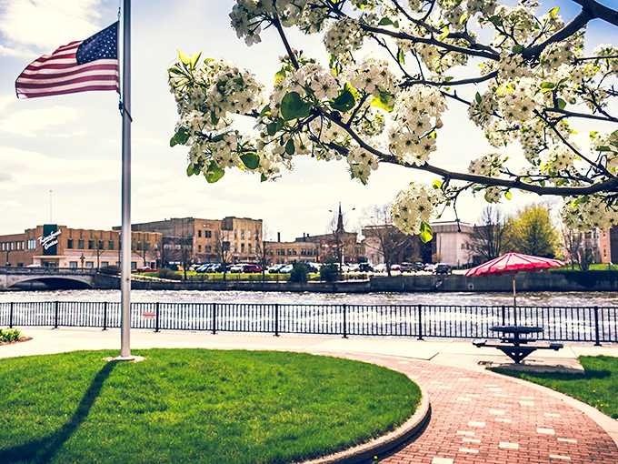 Spring blossoms frame this riverside view like nature's own picture postcard in downtown Janesville.