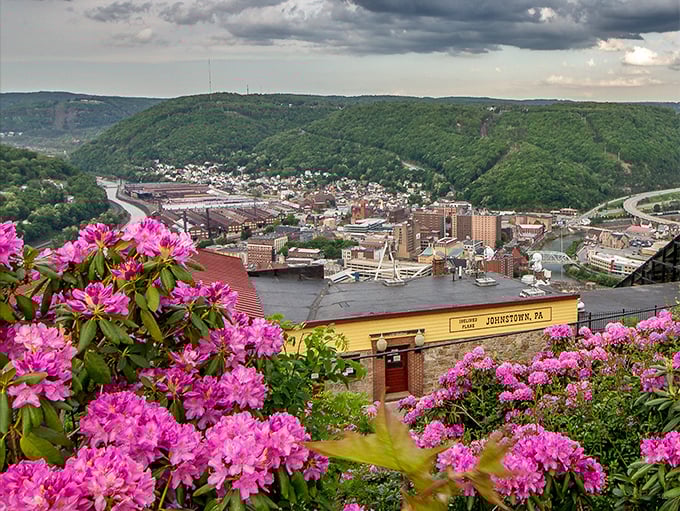 Nature meets affordability in Johnstown. Those pink rhododendrons frame a view that million-dollar cities would envy.