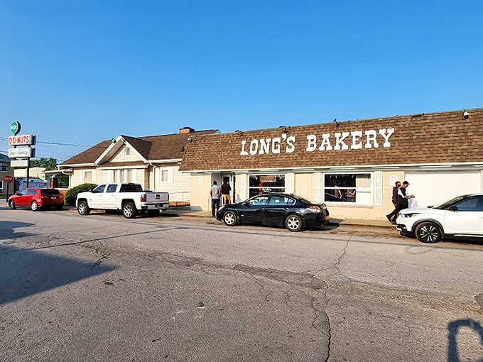 Where cars line up like it's 1955 and they're giving away Elvis tickets. Spoiler: just really good donuts.