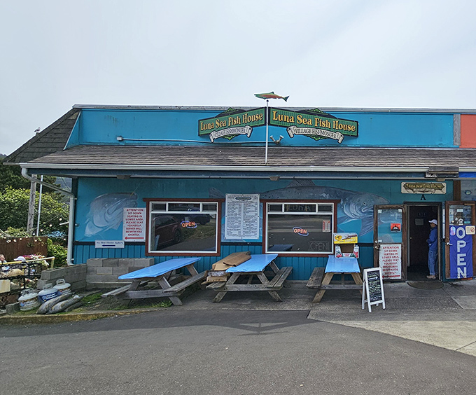 Luna Sea's cheerful blue facade and picnic tables promise the kind of no-frills seafood experience that makes taste buds dance with joy.