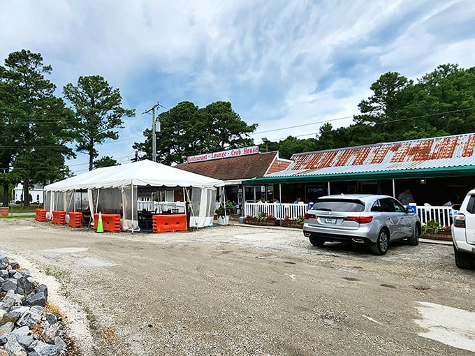 That rusty roof and simple tent setup? Classic signs you've found seafood nirvana. The best crab shacks never need billboards.