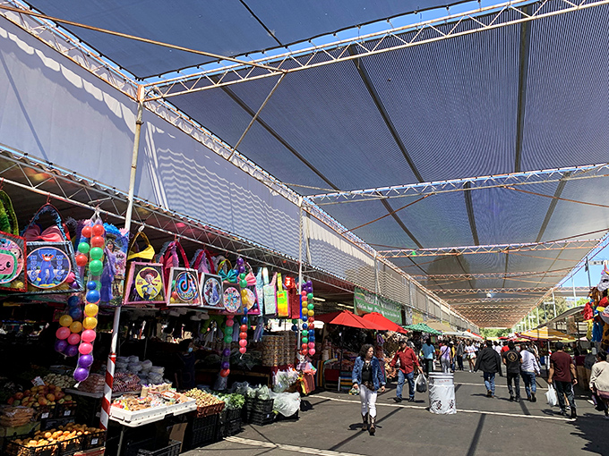 Technicolor dream shopping! Bright toys and clothing create a kaleidoscope of possibilities under the sprawling canopy of San Jose's legendary market.