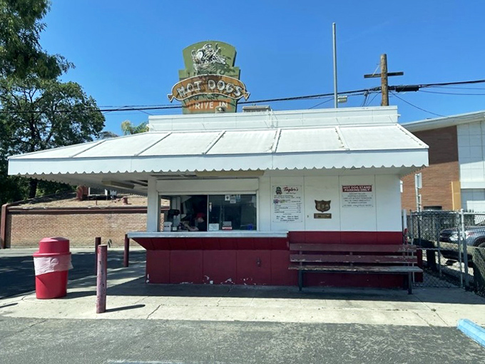 Red benches and white walls – this unassuming hot dog stand proves that culinary treasures often hide in plain sight.