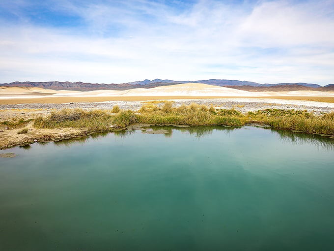 Nothing but golden hills and healing waters - Tecopa's timeless beauty speaks louder than words.