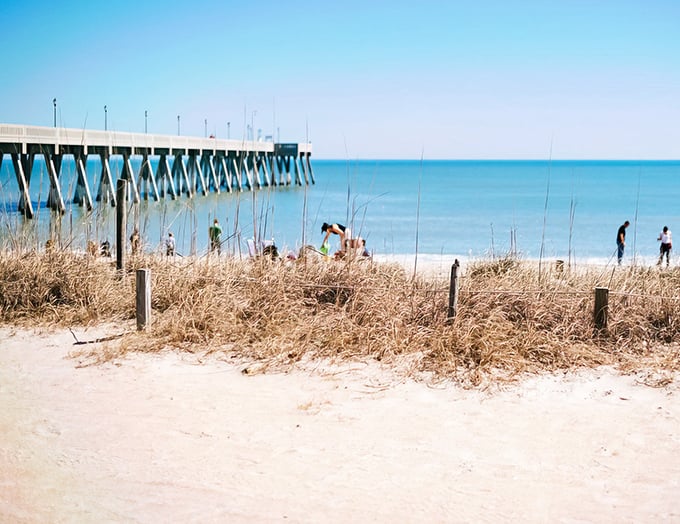 Beach magic happens here! Sunbathers, fishermen, and seagulls share this pristine stretch of Carolina coastline.