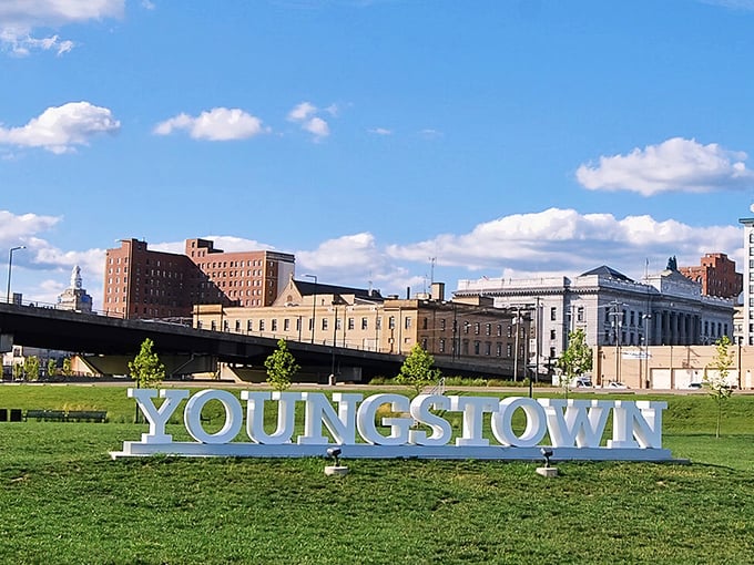 "The YOUNGSTOWN sign stands proud as a greeter, welcoming visitors to this resilient city. Talk about making an entrance!"