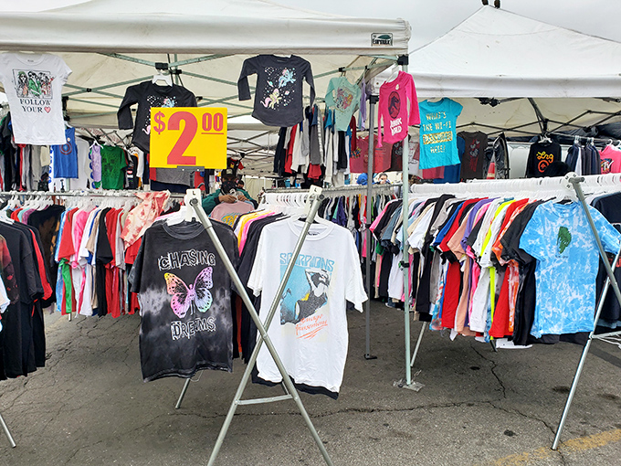 Two-dollar shirts prove that looking fabulous doesn't require a trust fund or financial advisor. 