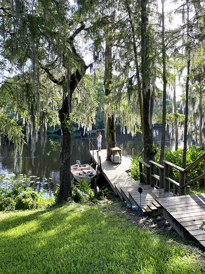 Spanish moss dangles like nature's own decorations while a lone fisherman demonstrates the art of Florida patience.