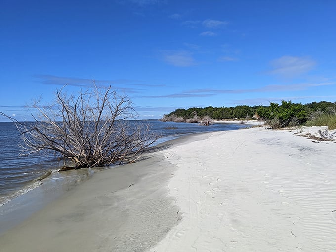 Mother Nature's minimalist design: pristine sand meets azure water. This untouched stretch of Jekyll Island shoreline whispers serenity to all who visit.