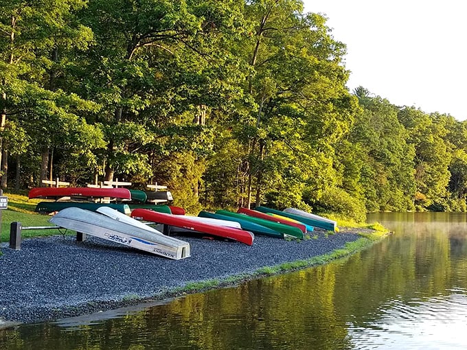 A rainbow of canoes waiting for their moment to shine. Like choosing ice cream flavors, the hardest part is deciding which colorful vessel to take for a spin.