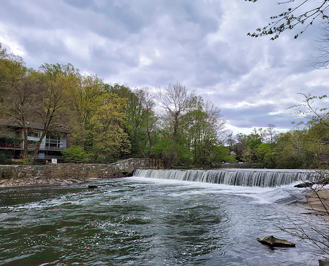 The Brandywine's gentle cascade creates nature's white noise machine &ndash; infinitely better than those apps on your phone.