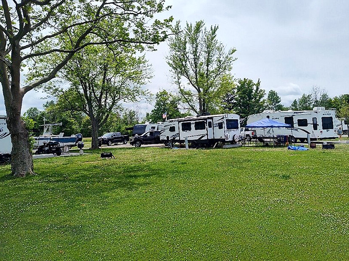 RV heaven under shady trees. Where "roughing it" means deciding whether to watch the sunset from your camping chair or air-conditioned comfort.