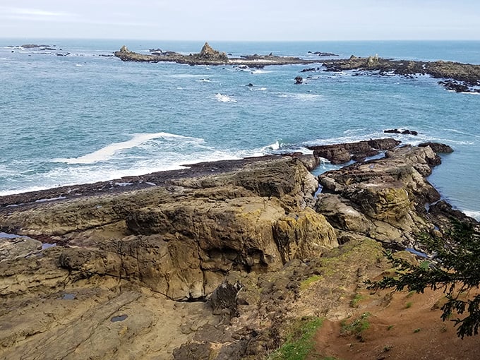 Nature's drama unfolds at Cape Arago, where rugged cliffs meet the restless Pacific. The kind of view that makes you forget to check your phone for hours.