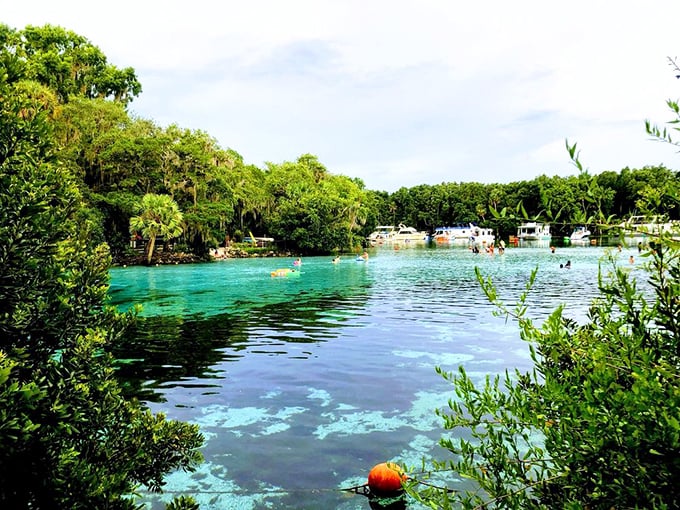 This view is so stunning it makes your screensaver jealous of real life.